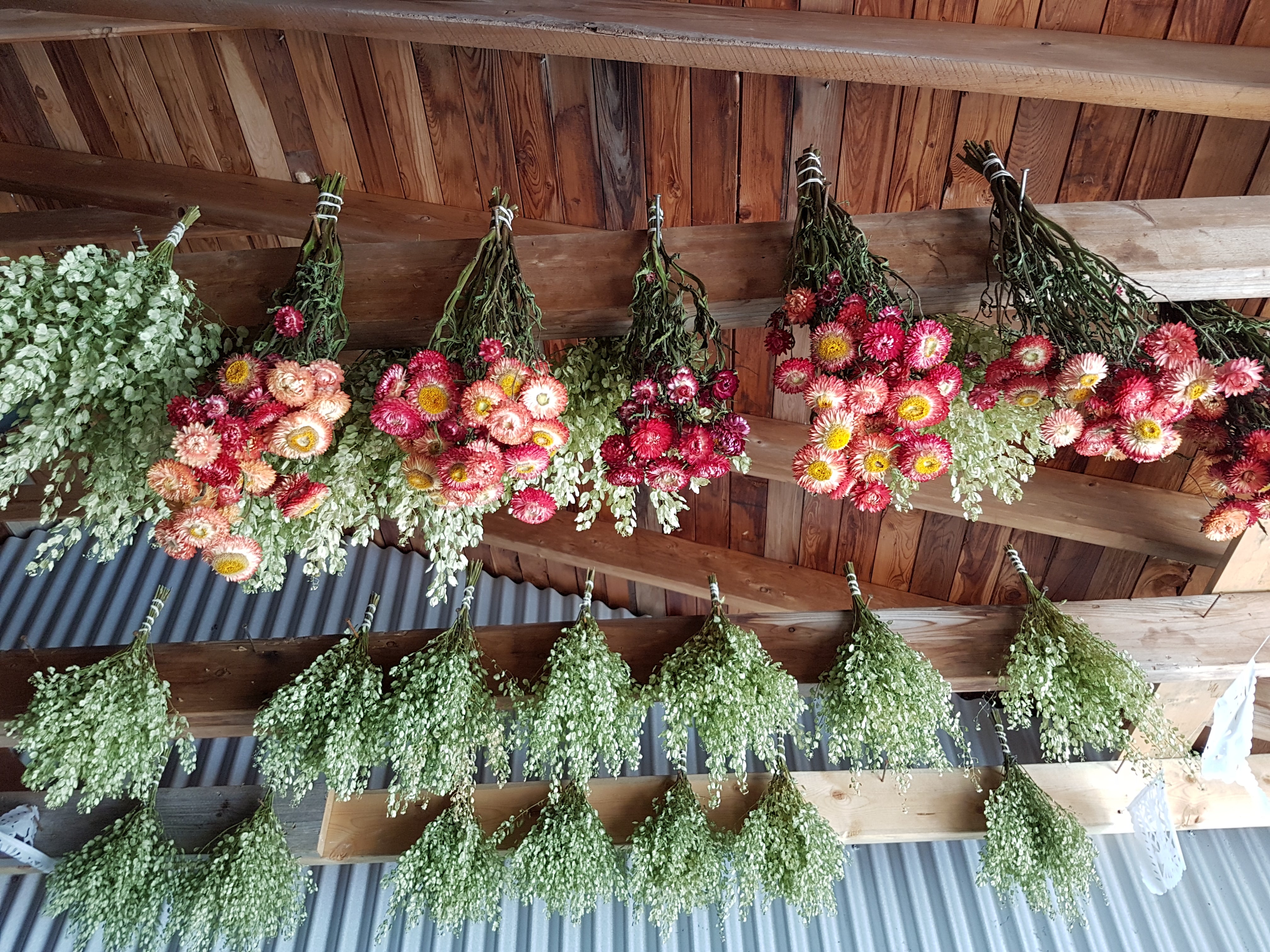 Learn How to Air Dry Flowers – Stone Meadow Gardens